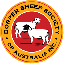KASeBA – Premium Boer Goats and Dorper Sheep in Indonesia - kambing ...